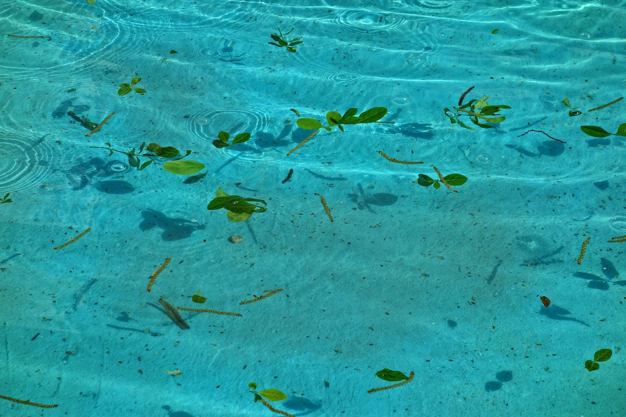 Pool Plaster Repair 101: Common Pool Plaster Problems and How to Fix Them